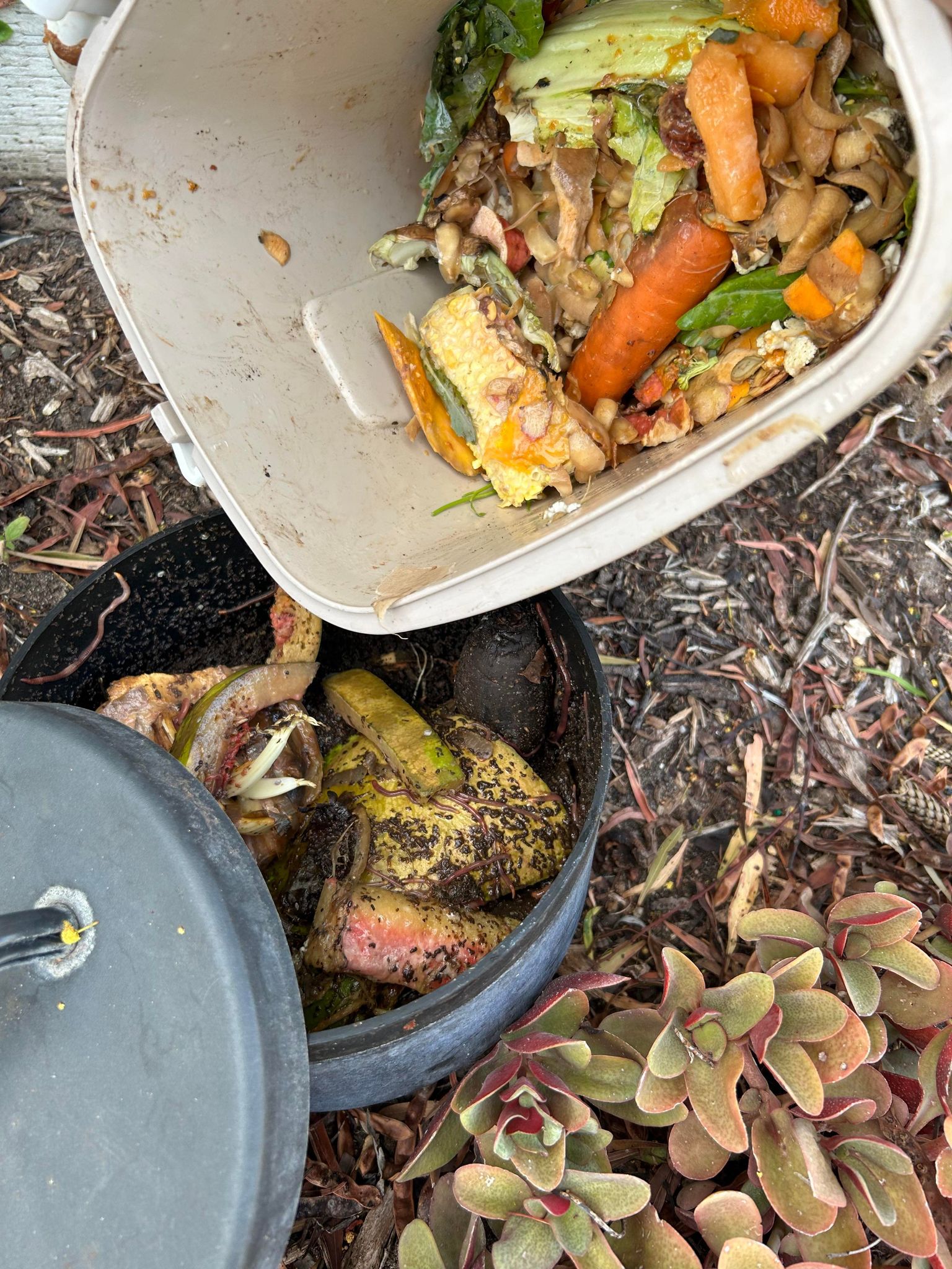 Greenlife Worm Farm In-Ground Micro Compost Tower for Gardens