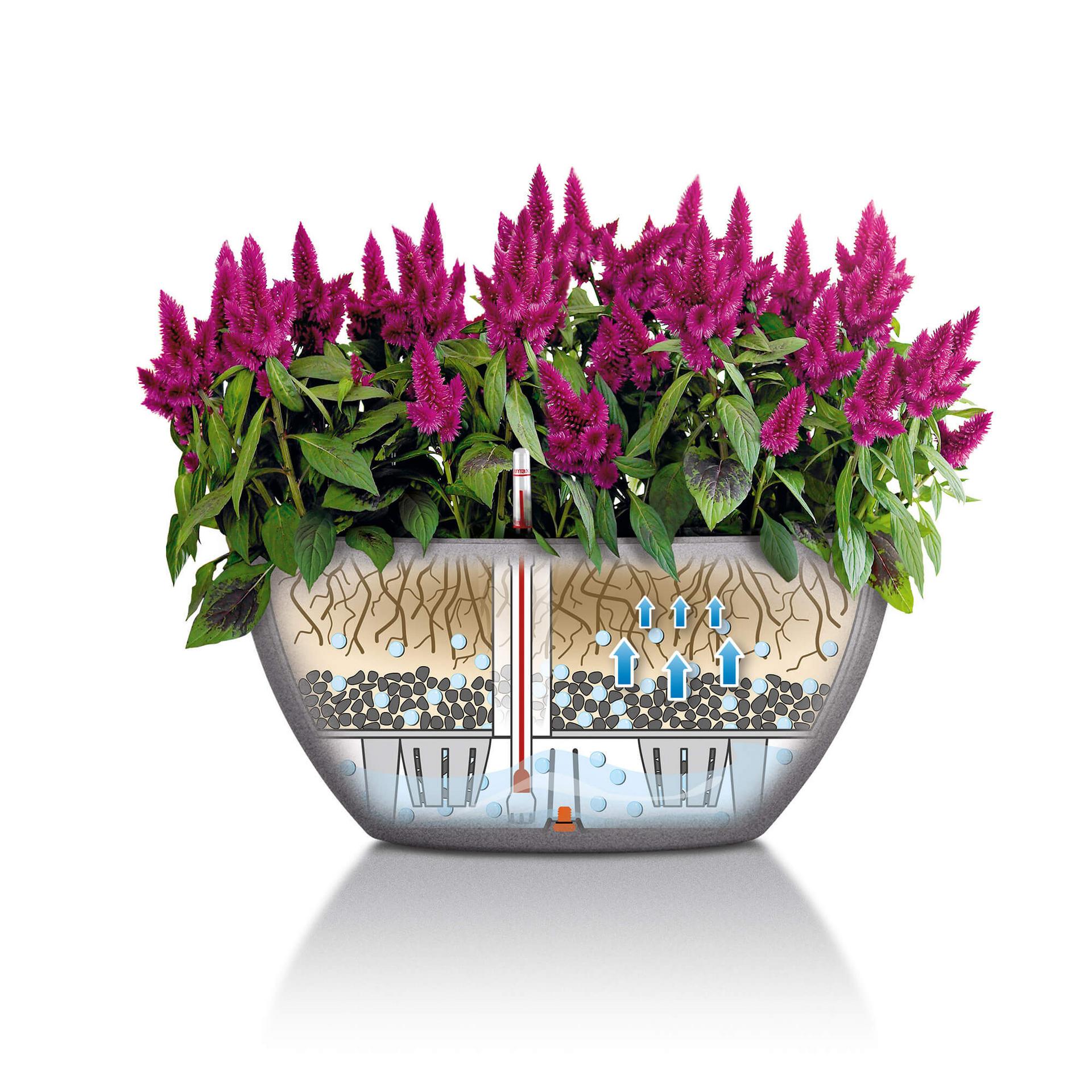 Lechuza Self Watering Pot - CUBETO Stone 40 Bowl - Greenlife