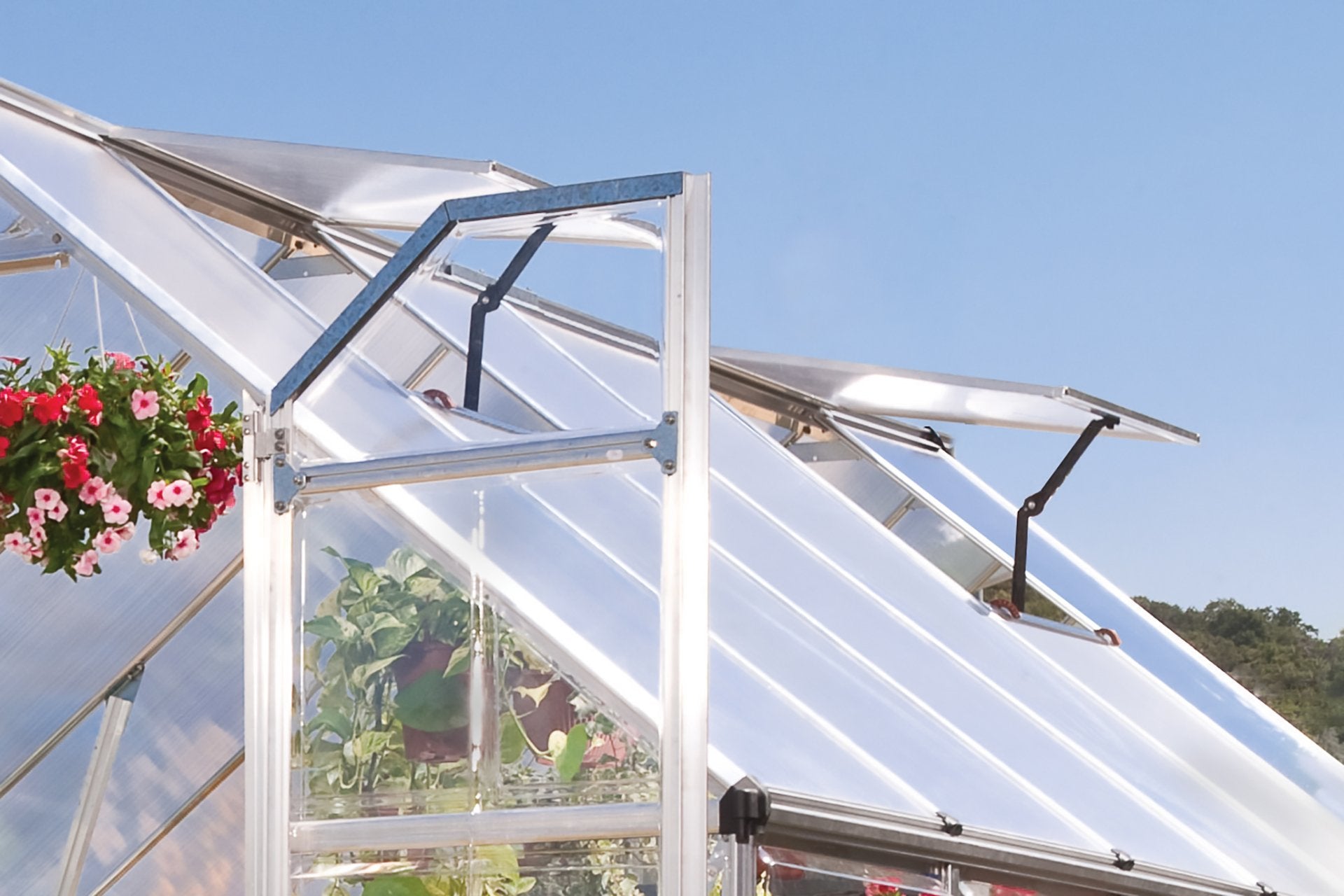 Maze Balance Premium Polycarbonate Greenhouse 8' x 20' - Silver Frame ...