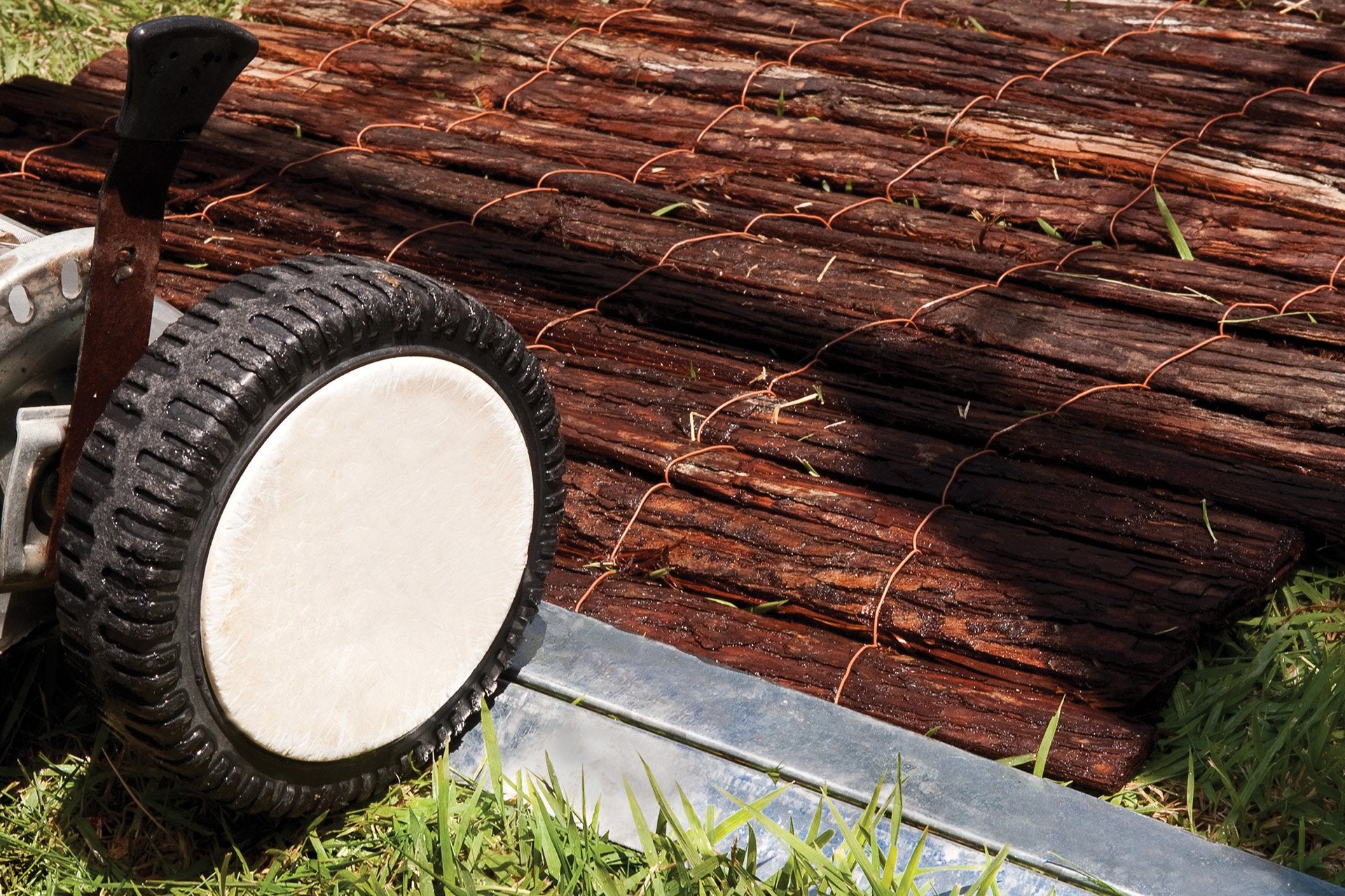 Maze Balance Premium Polycarbonate Greenhouse 8' x 8' - Silver Frame ...